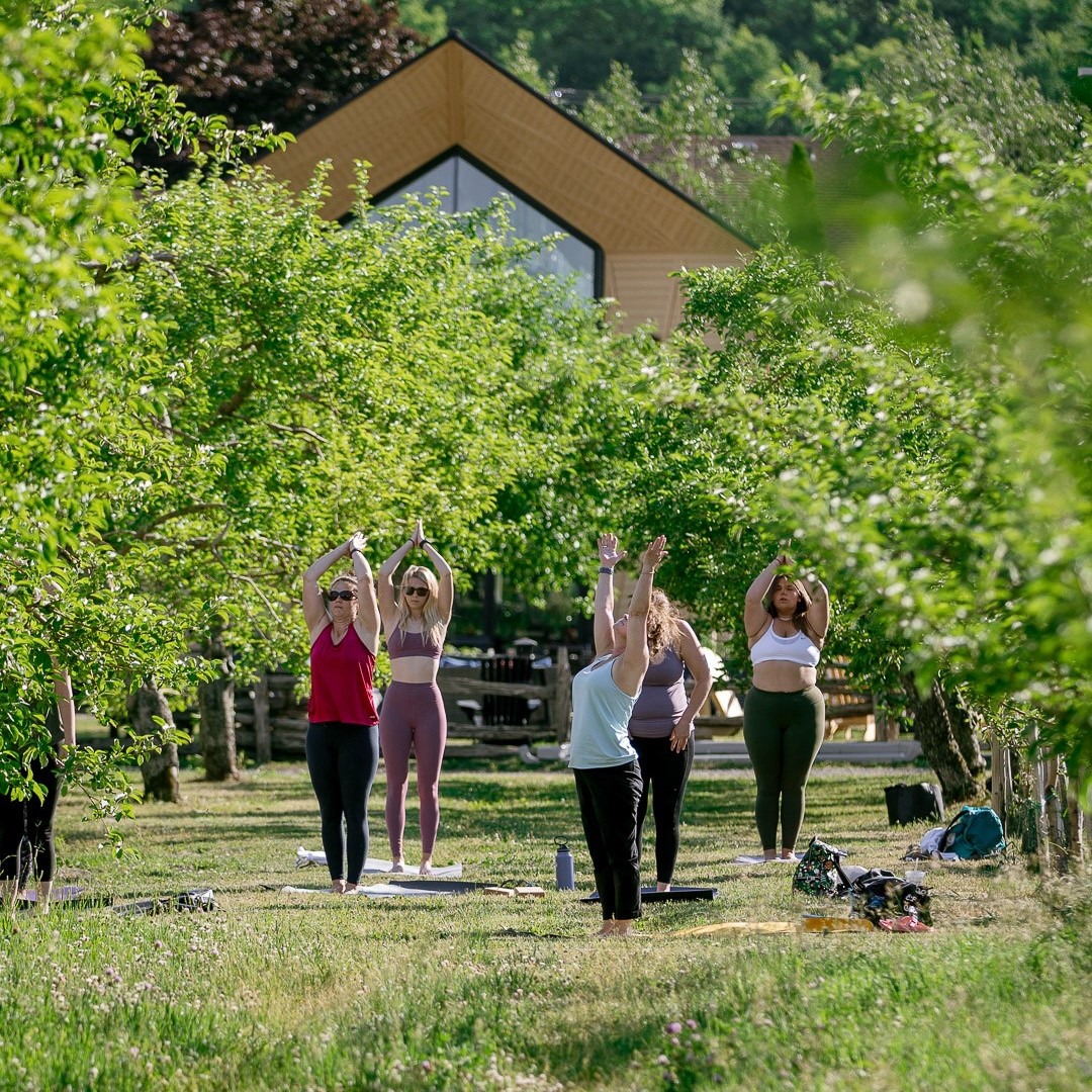 Cours de yoga : Tout savoir sur la pratique, en 2 min - Blog Wooskill