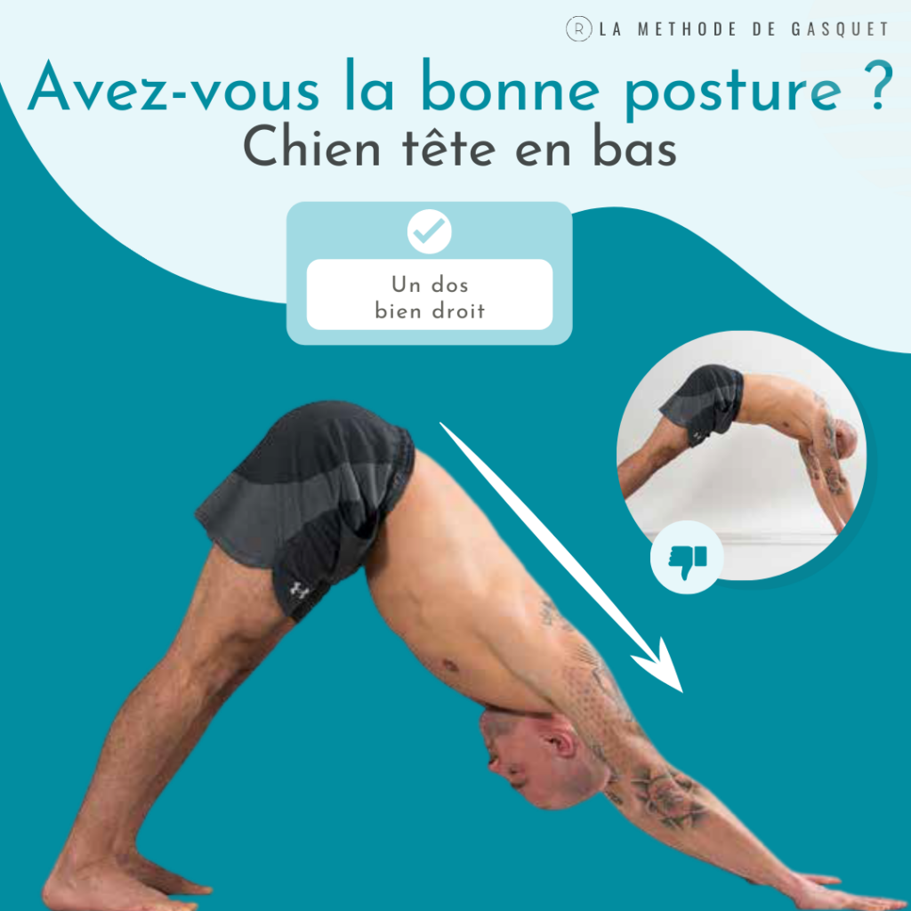 Le renforcement du dos avec la position du chien tête en bas - Wooskill ...