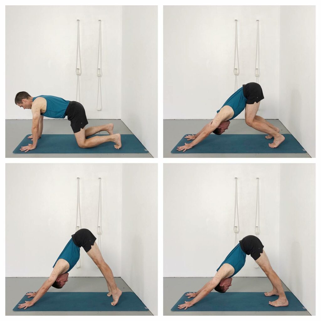 Plus de flexibilité grâce au chien tête en bas - Wooskill Blog