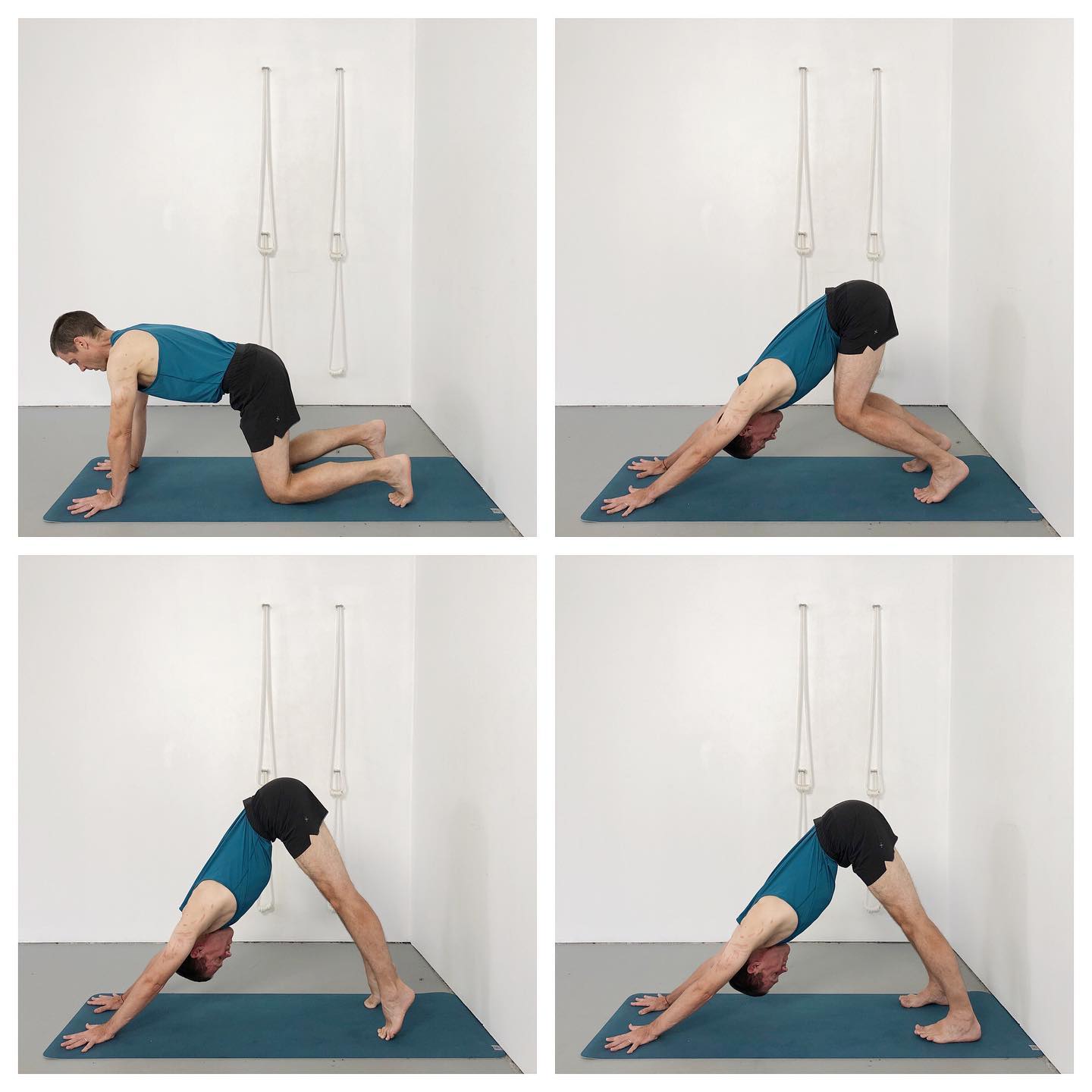 Plus de flexibilité grâce au chien tête en bas - Wooskill Blog