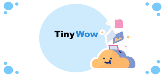 Les avais des utilisateurs sur l'outil en ligne Tinywow