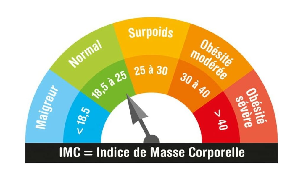 IMC (l'Indice de Masse Corporelle) - Wooskill Blog